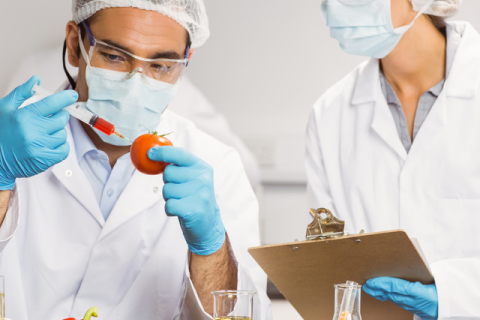 Rising Costs Lead to Ingredient Reformulation | PLMA