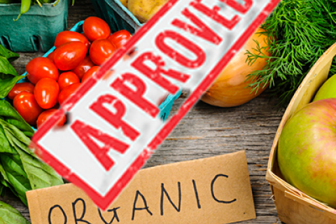 Greenwashing Is Scrutinized | PLMA